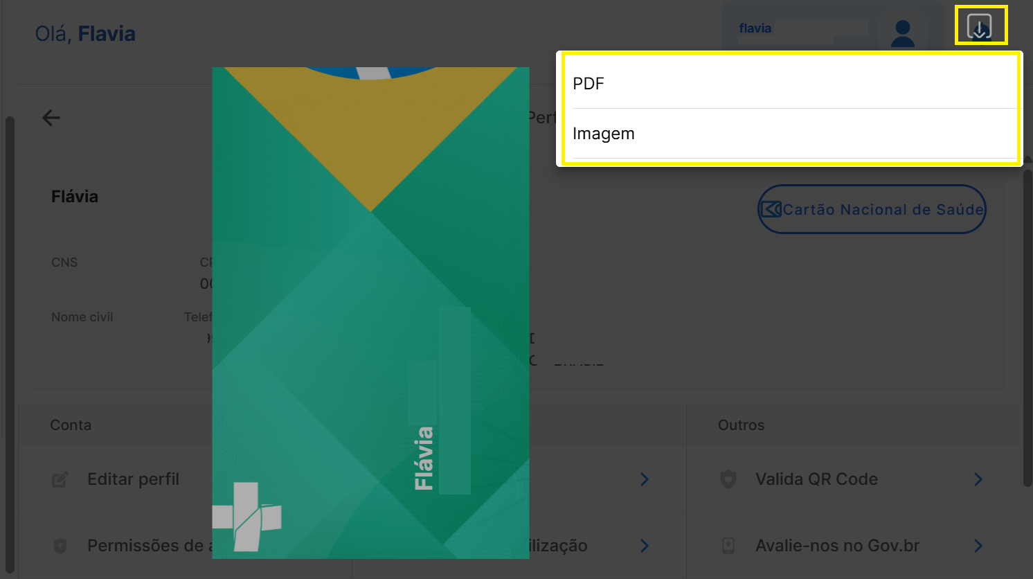 How to check the SUS Card Number by CPF